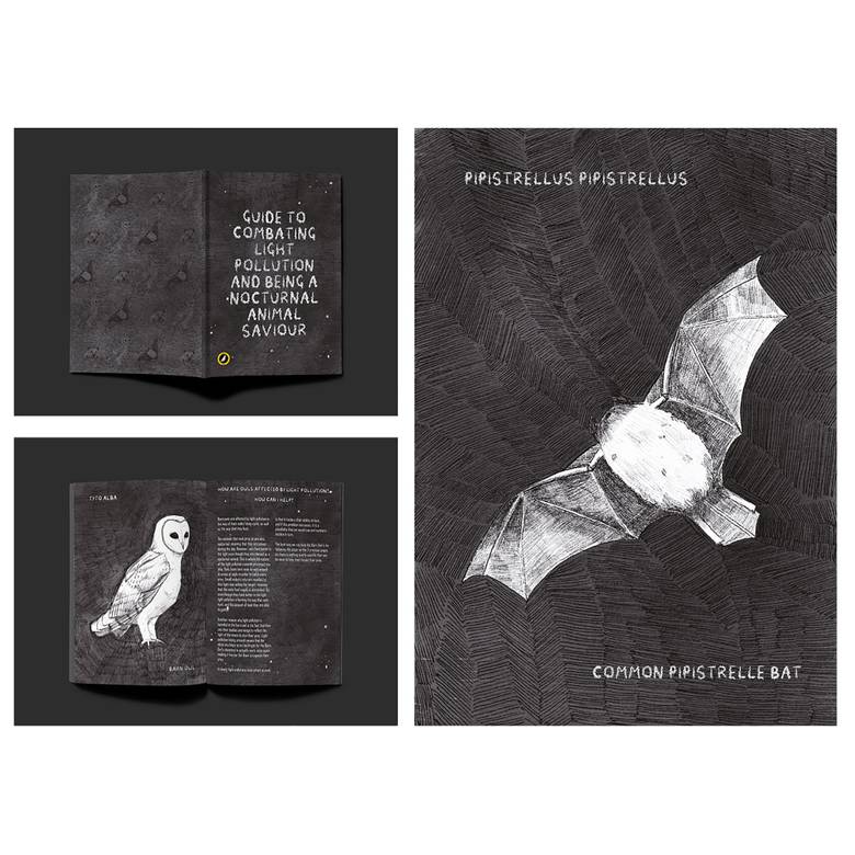 BA (Hons) Graphic Design (Graphic Illustration) | 红杏视频